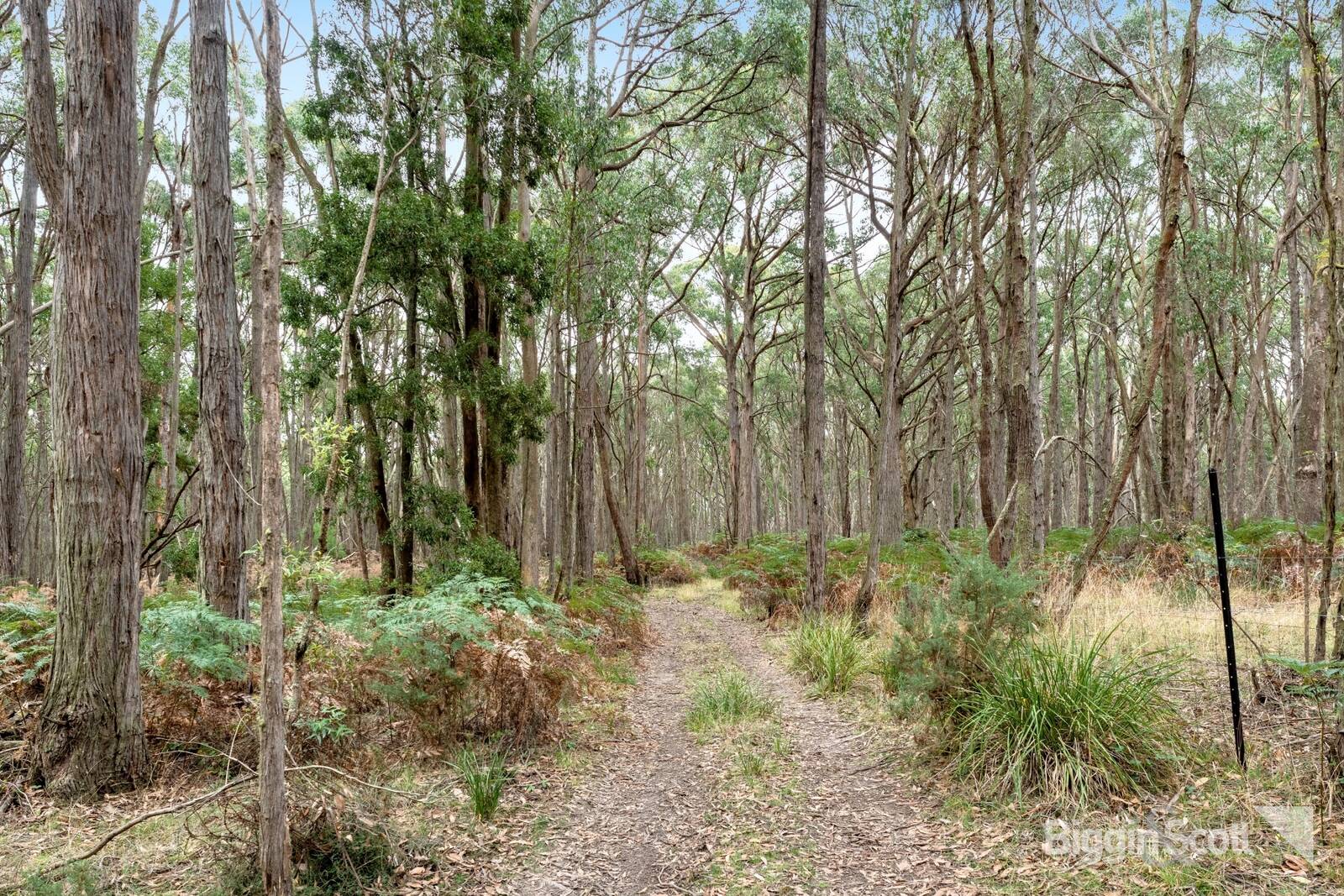 Biggin & Scott - Lot2A, 360 Long Swamp Road, Mollongghip 3352